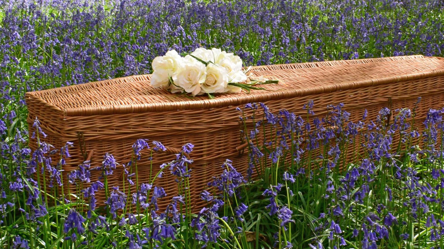 What is a biodegradable coffin? - Dillamore Funeral Service